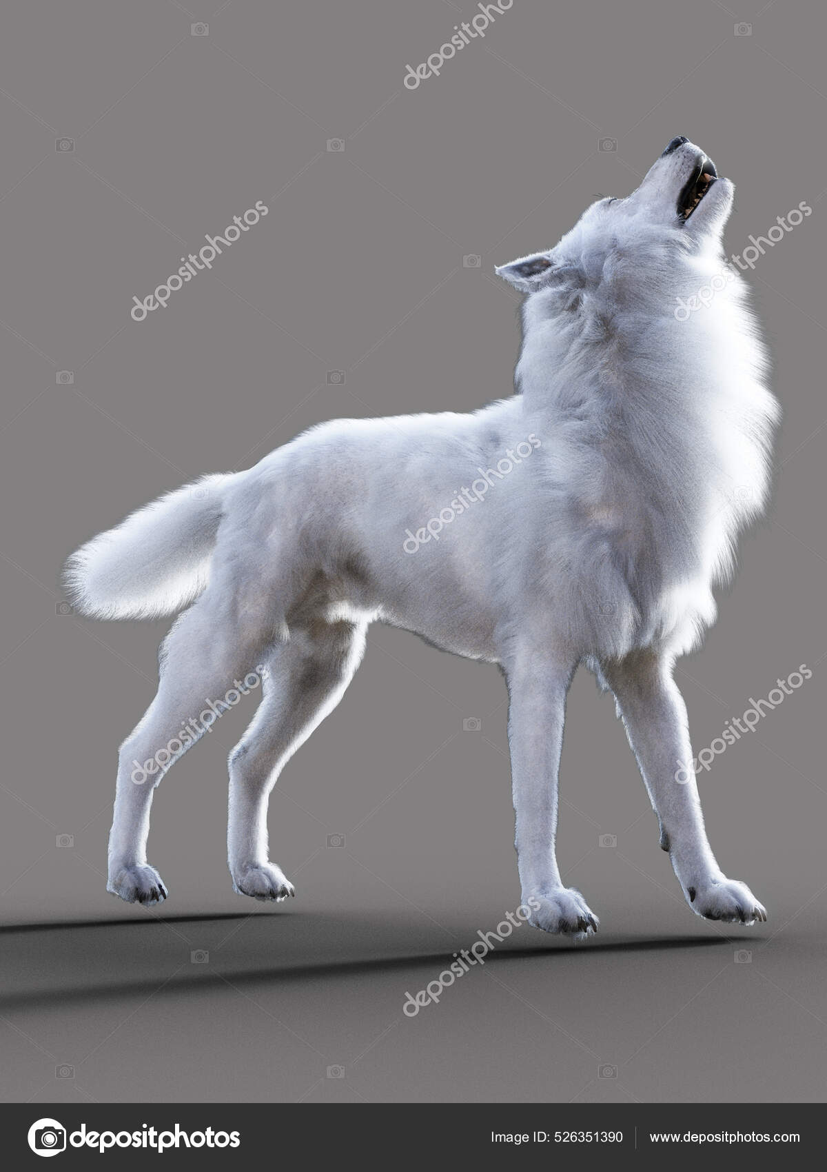 Lobo Blanco Aullando
