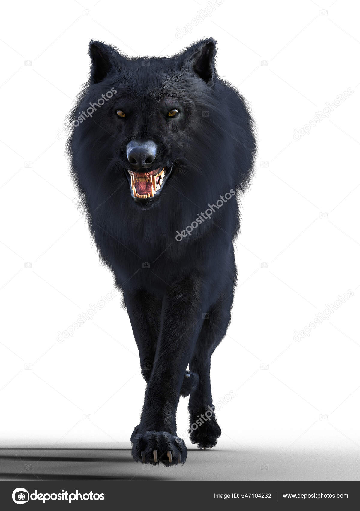Black Wolf Snarl