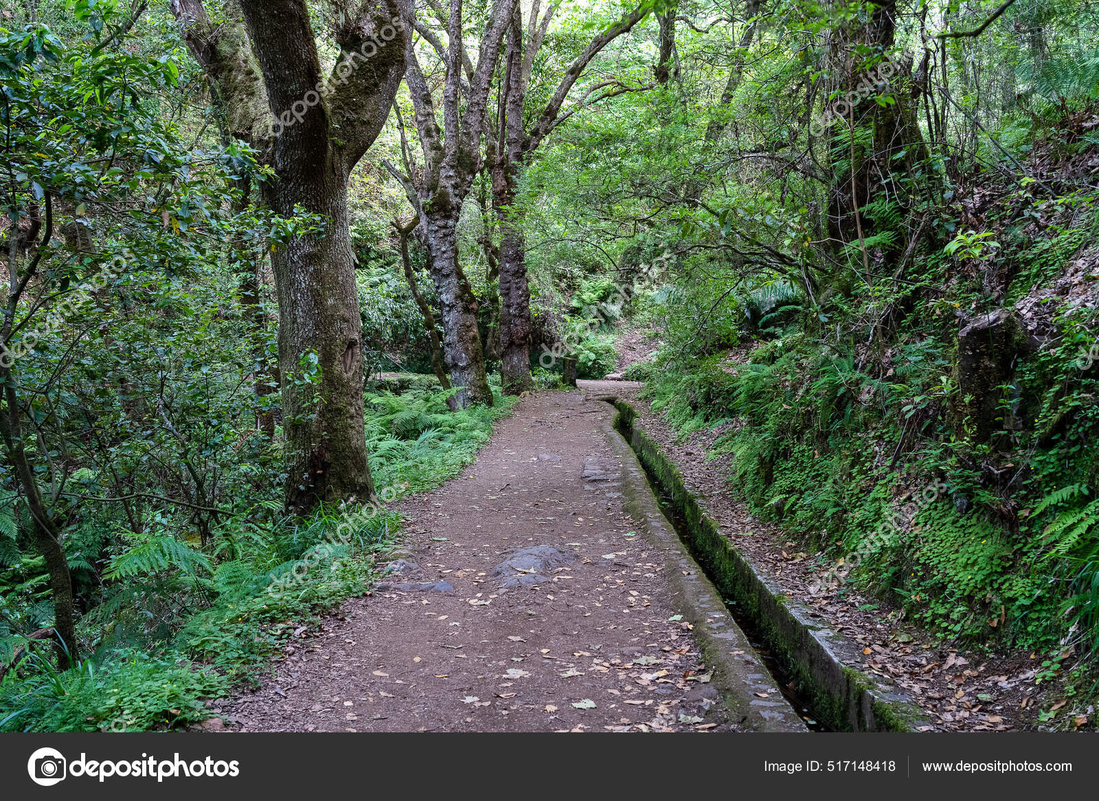 Levada Hiking Viewpoint Vereda Dos Balcoes Island Madeira — Stock Photo ...