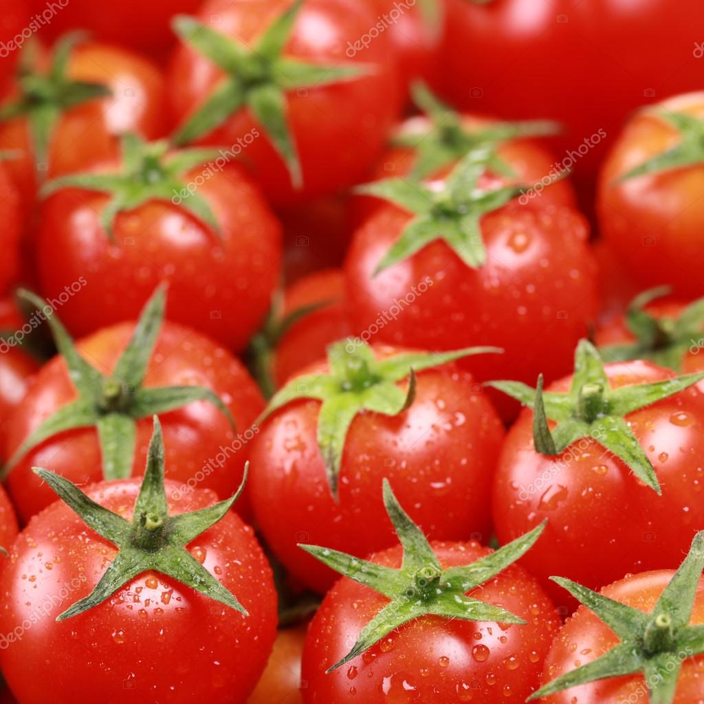 Group of small cocktail tomatoes — Stock Photo © Boarding2Now #21053999