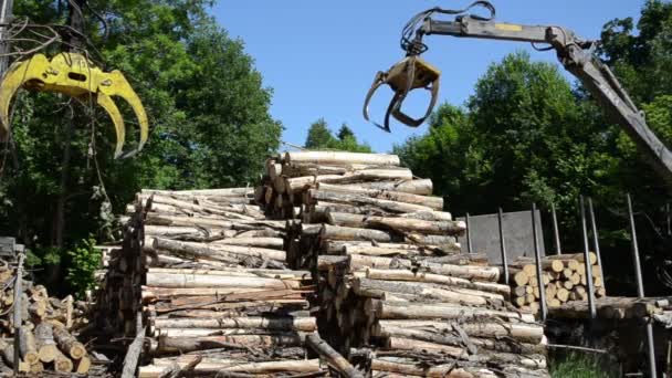 Lumber process mill works — Stock Video © sauletas #37202117
