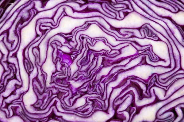 Red Cabbage macro Stock Photo by ©karandaev 1570656