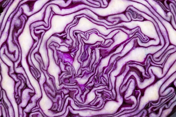 Red Cabbage macro Stock Photo by ©karandaev 1570656