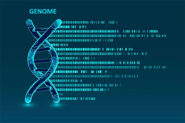 Visualización de grandes datos genómicos. Prueba de ADN, mapa del ...
