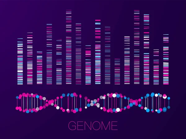 Big Genomic Data Visualization Dna Test Genom Map Graphic Concept Stock ...