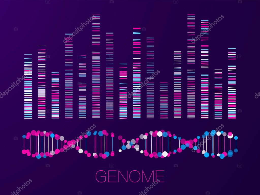 Visualización de grandes datos genómicos. Prueba de ADN, mapa del ...