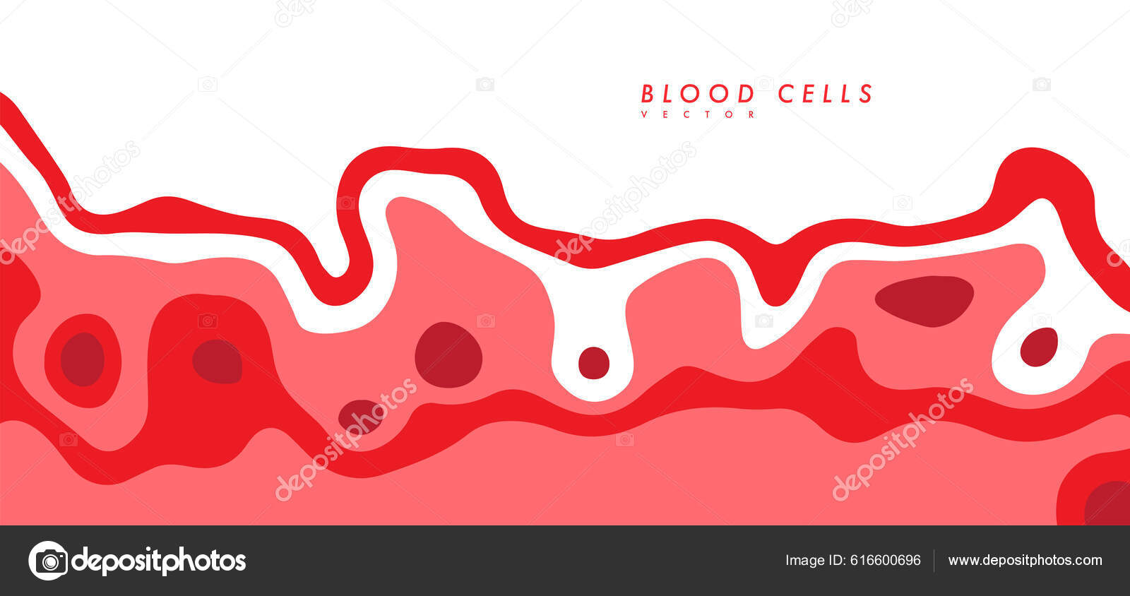 Glóbulos Rojos Humanos Concepto Gráfico Para Diseño Vector de stock por ...