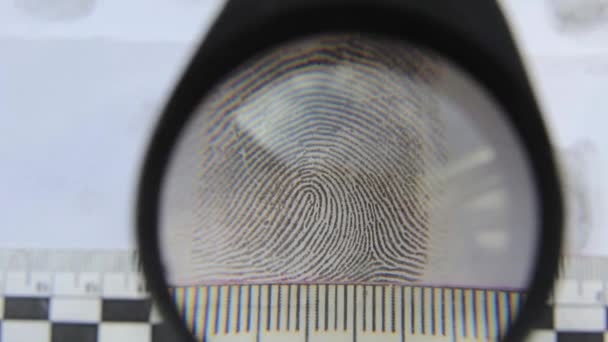 21 Forensic ruler Videos, Royalty-free Stock Forensic ruler Footage ...