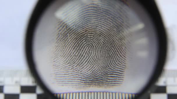 21 Forensic ruler Videos, Royalty-free Stock Forensic ruler Footage ...