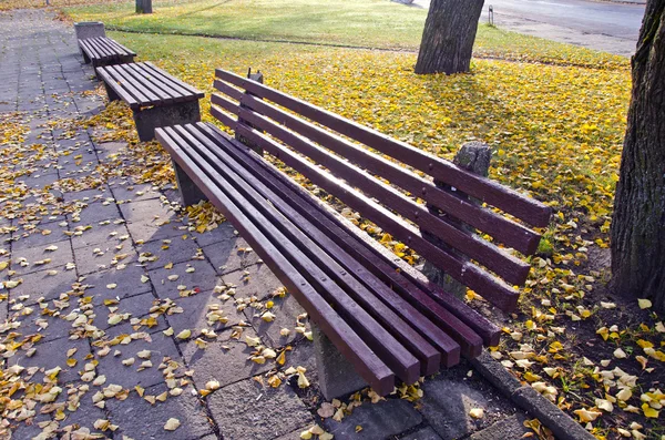 Park benches Stock Photos, Royalty Free Park benches Images | Depositphotos