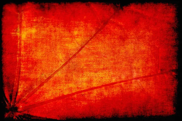 Yellow abstract light rays background or texture Stock Photo by ...