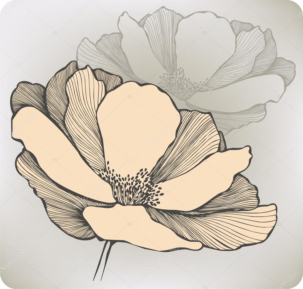 Pencil Drawing Of Abstract Flowers