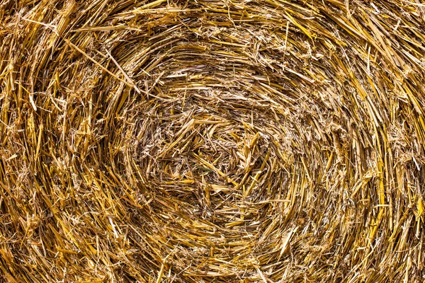 Hay texture seamless Stock Photos, Royalty Free Hay texture seamless ...