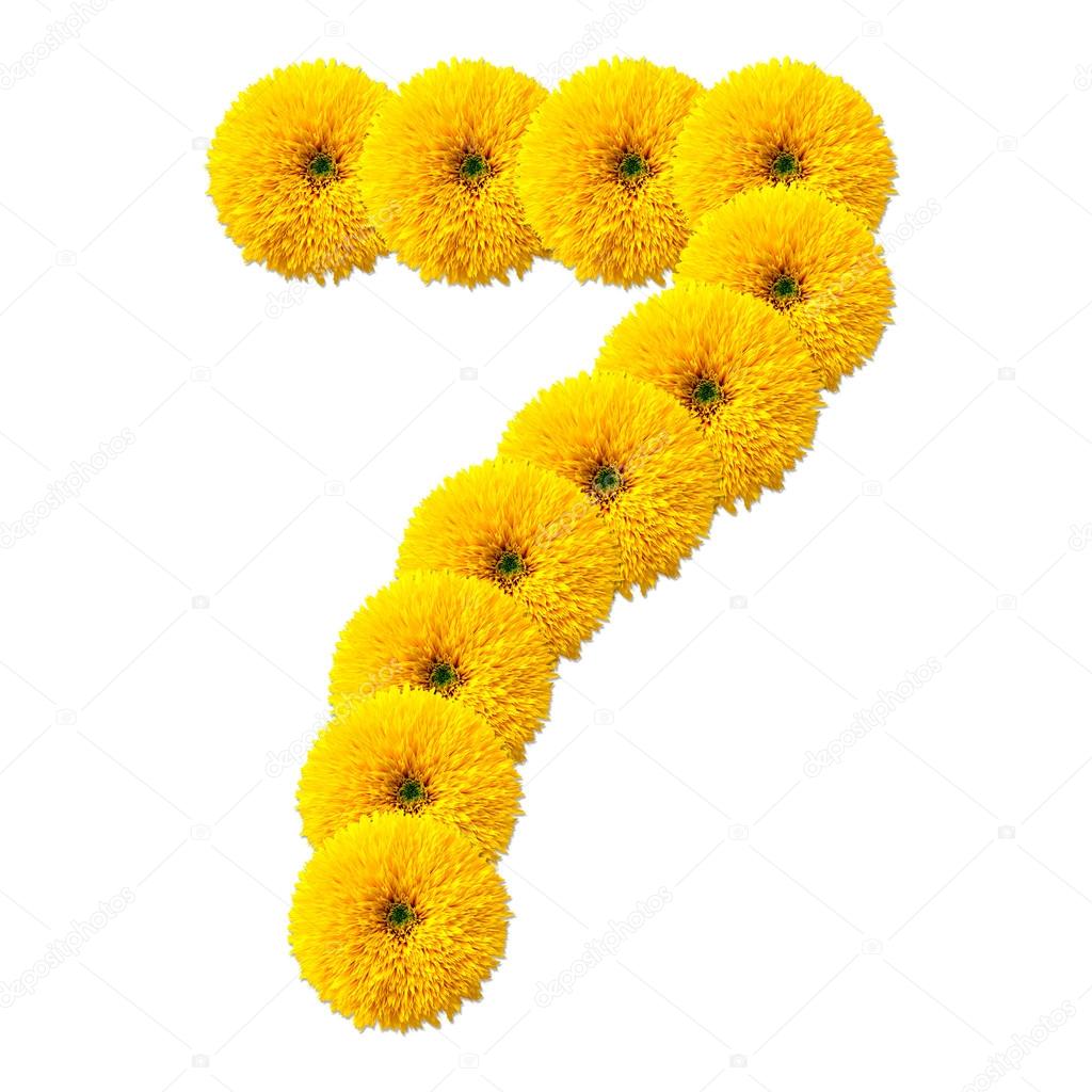 Decimal cipher of flowers Stock Photo by ©Plus69 24141581