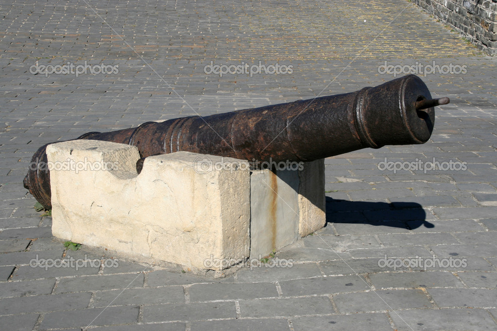Ancient Chinese Cannon