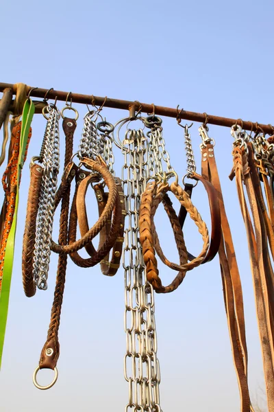 Neck chains Stock Photos, Royalty Free Neck chains Images | Depositphotos