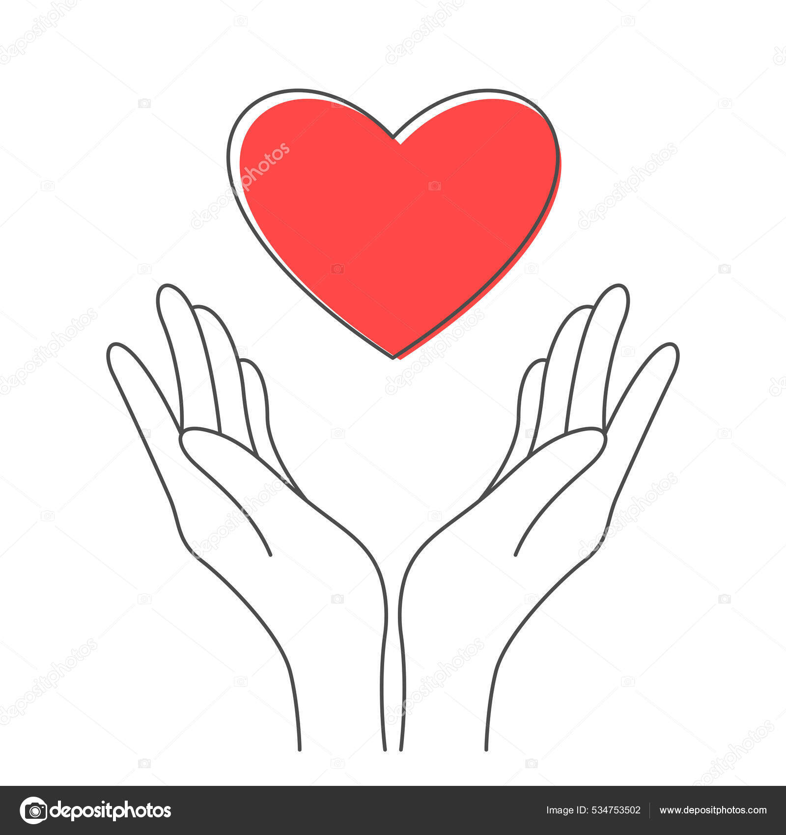 Two Hands With Heart Red Heart In Two Hands On White Background