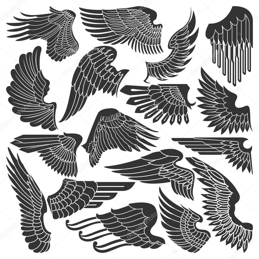 Set Sketches Of Wings Stock Vector By ©konahinab 13354976