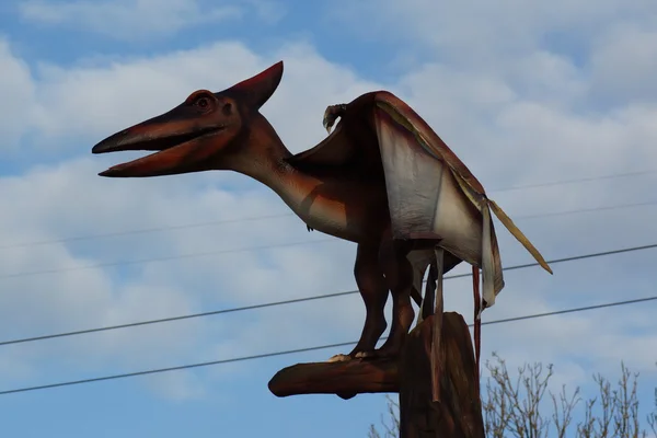 Pteranodon longiceps Stock Photos, Royalty Free Pteranodon longiceps ...