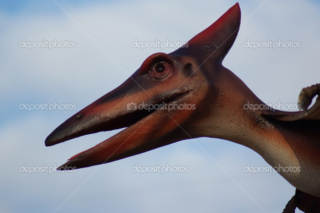 Pteranodon - pteranodon longiceps 2023
