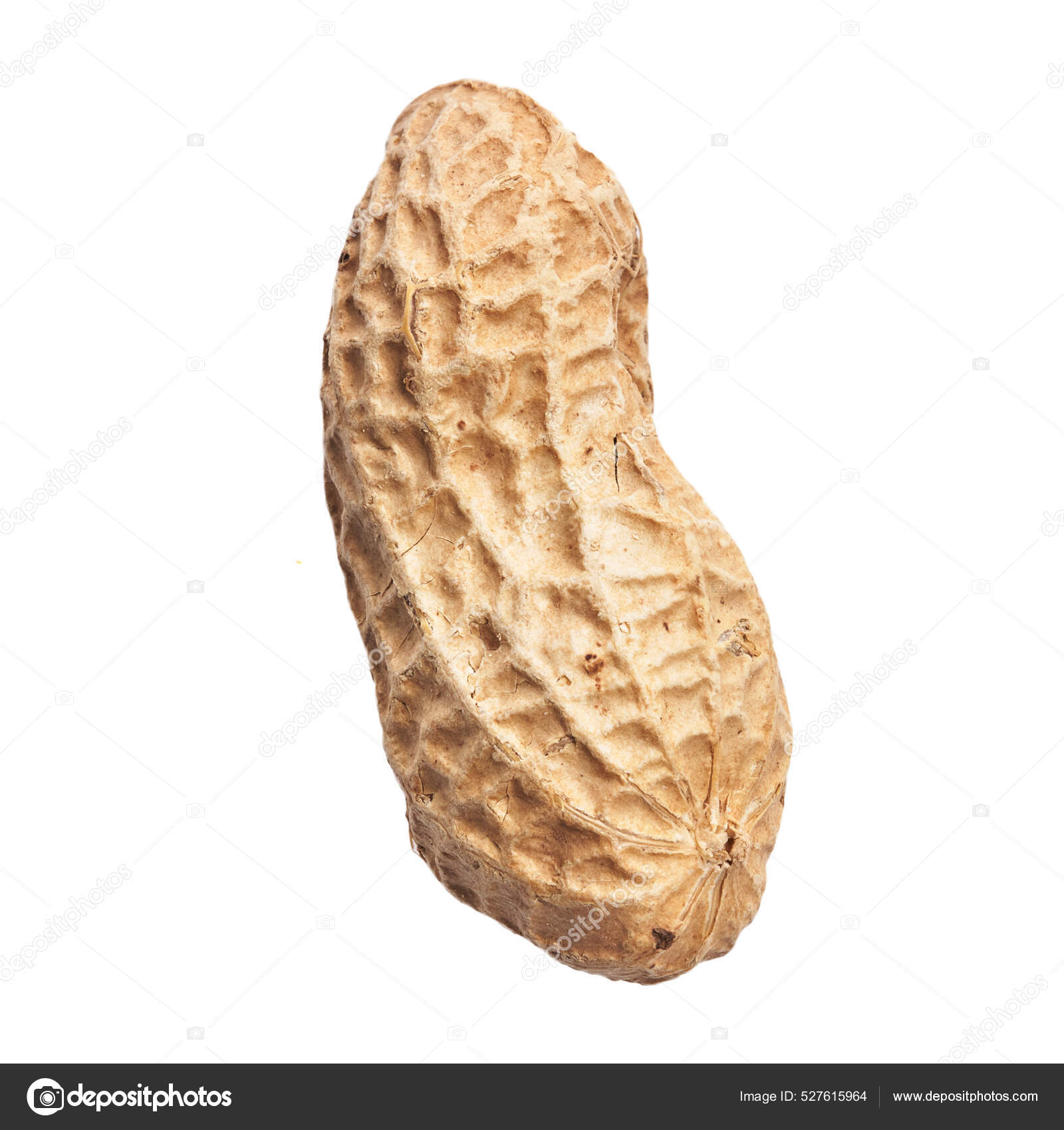 Single Groundnut Peanut PNG Transparent Image Download, Size: