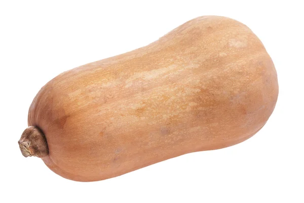 Kalabasa Stock Photos, Royalty Free Kalabasa Images | Depositphotos