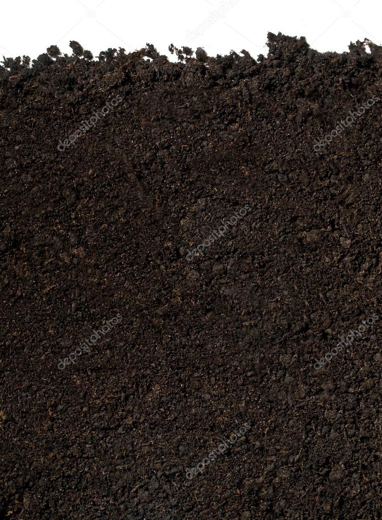 Soil for planting — Stock Photo © kornienkoalex #24122297