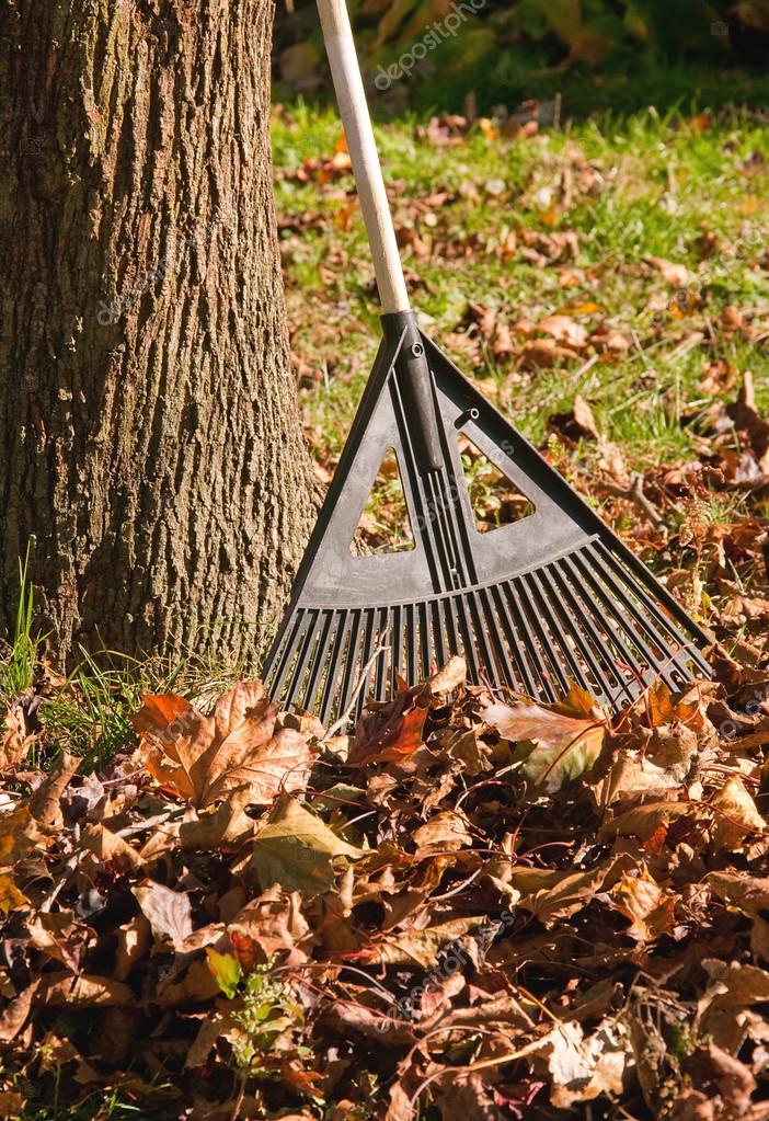 Rake and Bagging Leaves — Stock Photo © jerryb7 #14360023