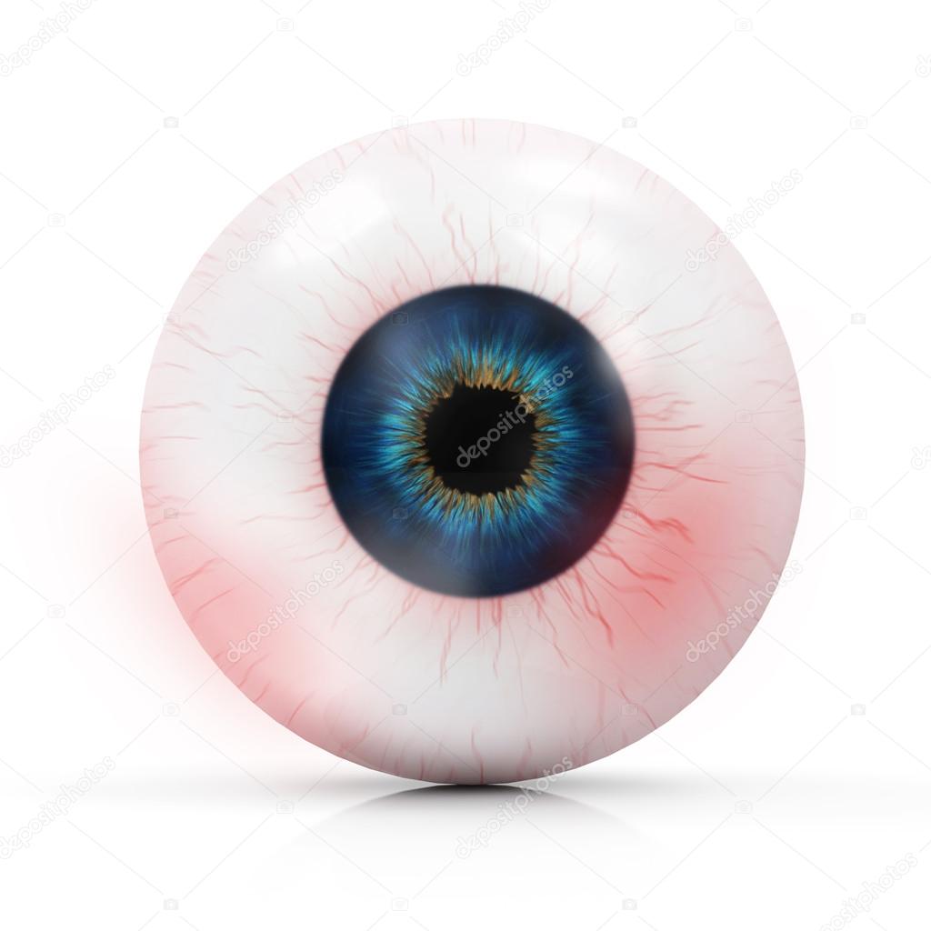 Human Red Eye isolated on white background Stock Photo by ©ras-slava ...