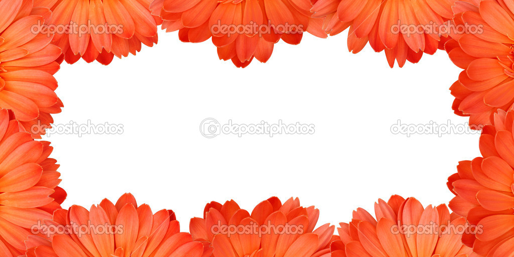 Gerbera flower create a frame — Stock Photo © foto76 #12176489