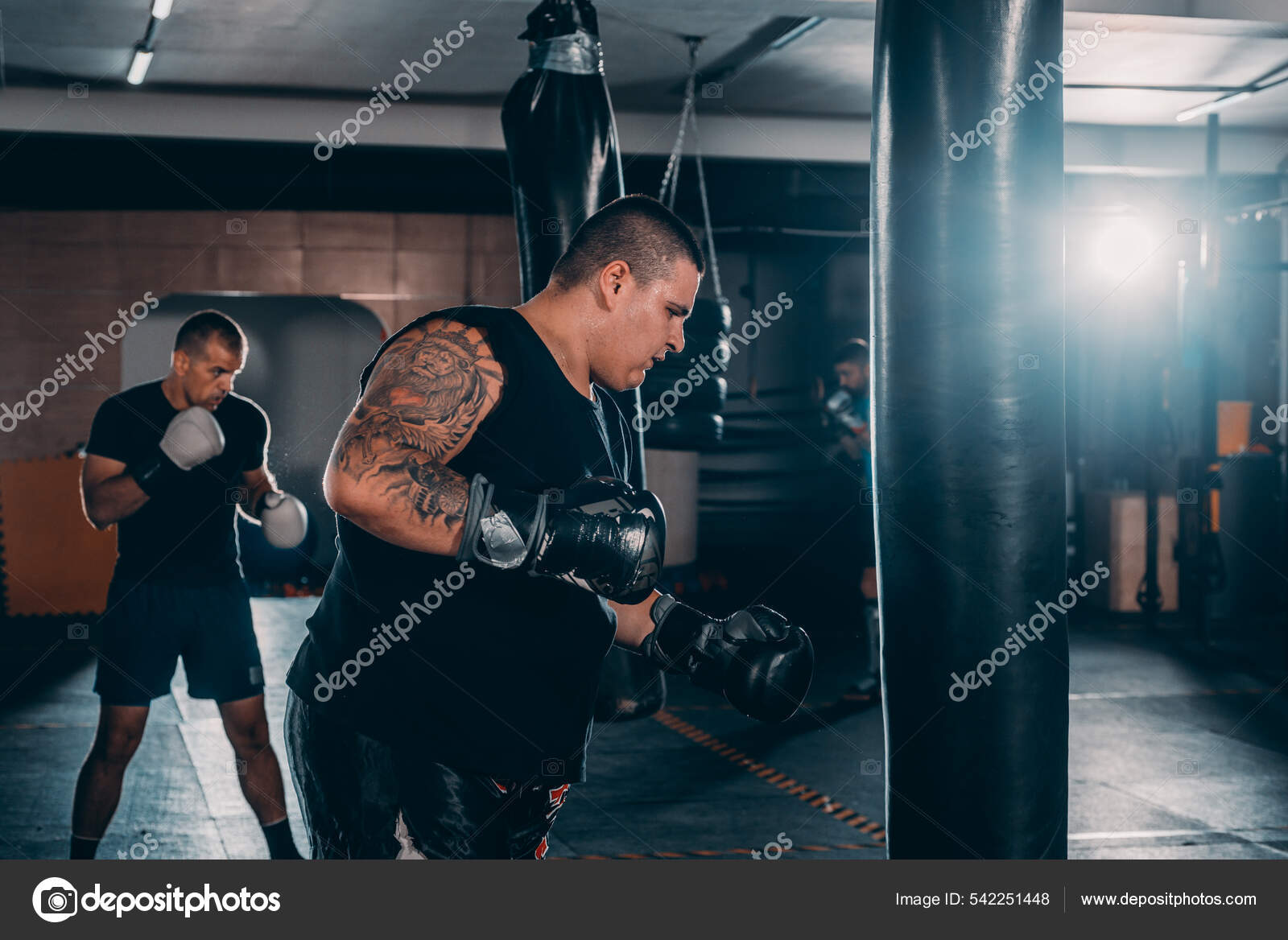 Handsome Boxer Boxing Gloves Training Punching Bag Dark Background ...