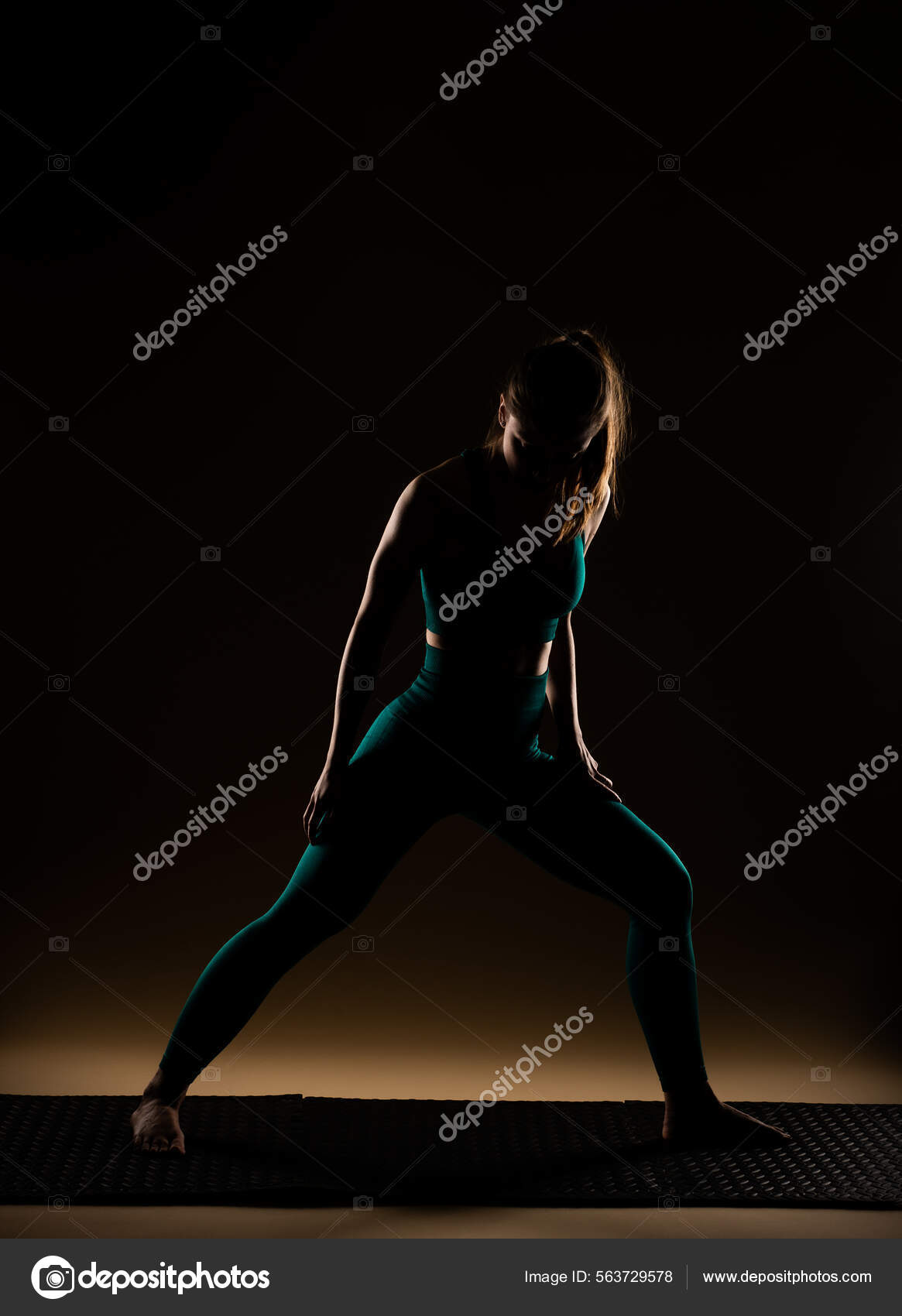 Silhouette Attractive Beautiful Girl Posing Stock Photo by ©gorgev ...