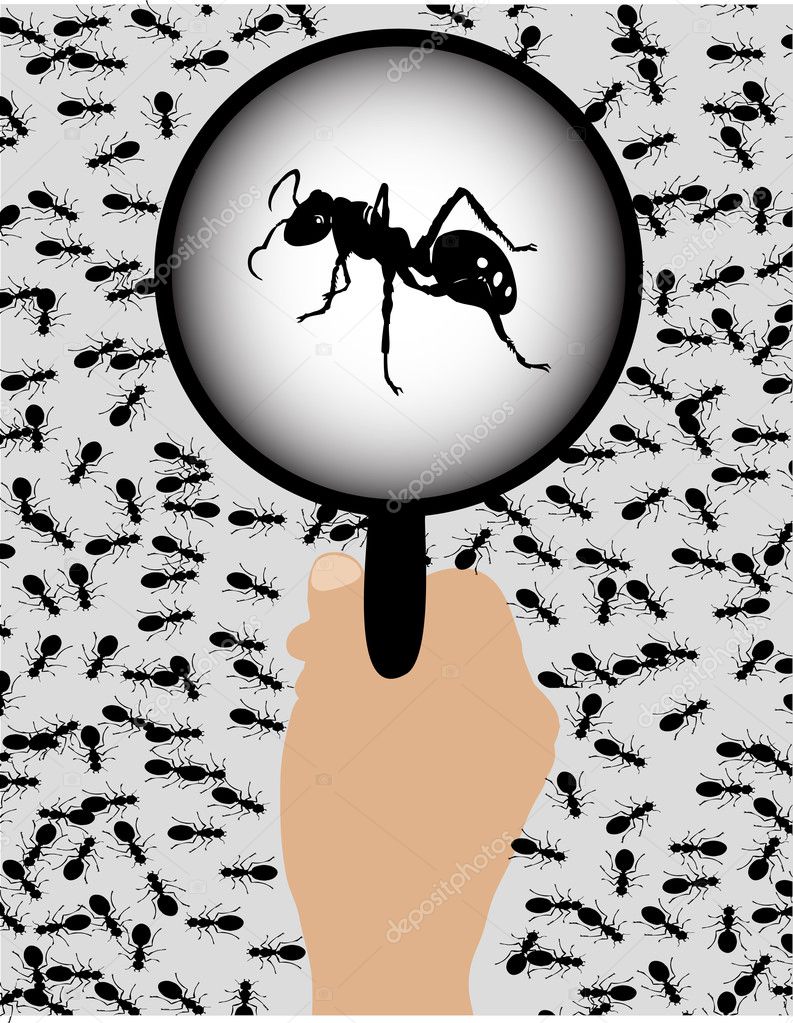Ant Under A Magnifying Glass — Stock Vector © Matc 24943245