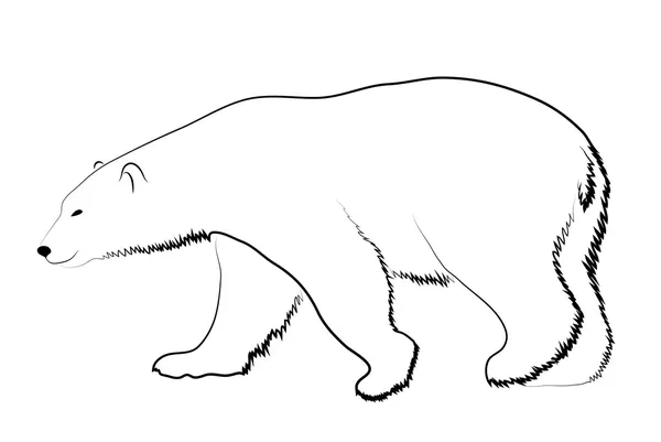 Polar Bear Clipart Black And White