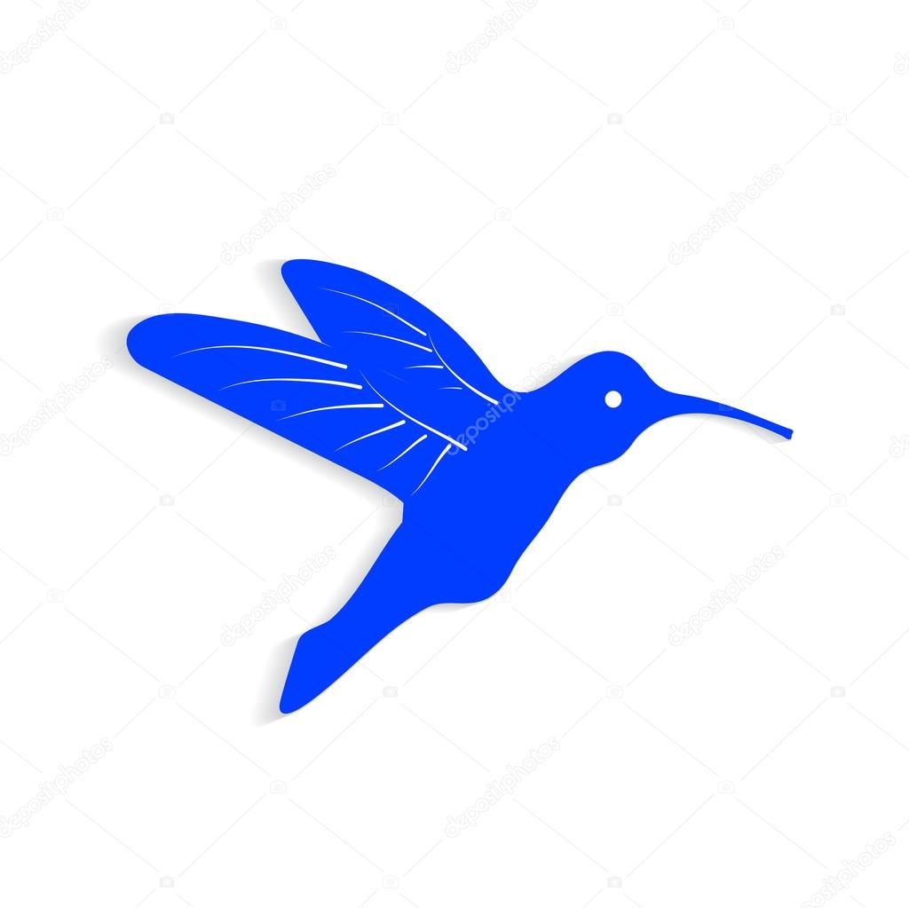 Colibri on a white background Stock Vector Image by ©matc #44511243