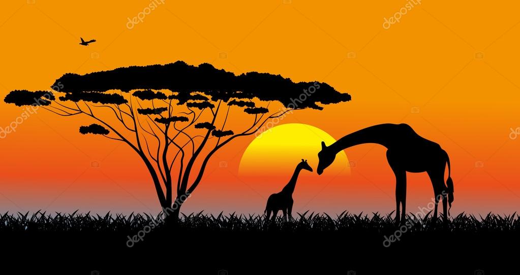 depositphotos_45557763-stock-illustration-african-savanna-an-evening ...