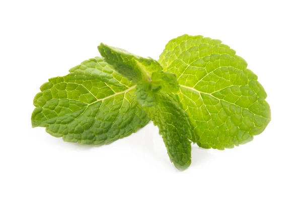 The real mint Stock Photos, Royalty Free The real mint Images ...