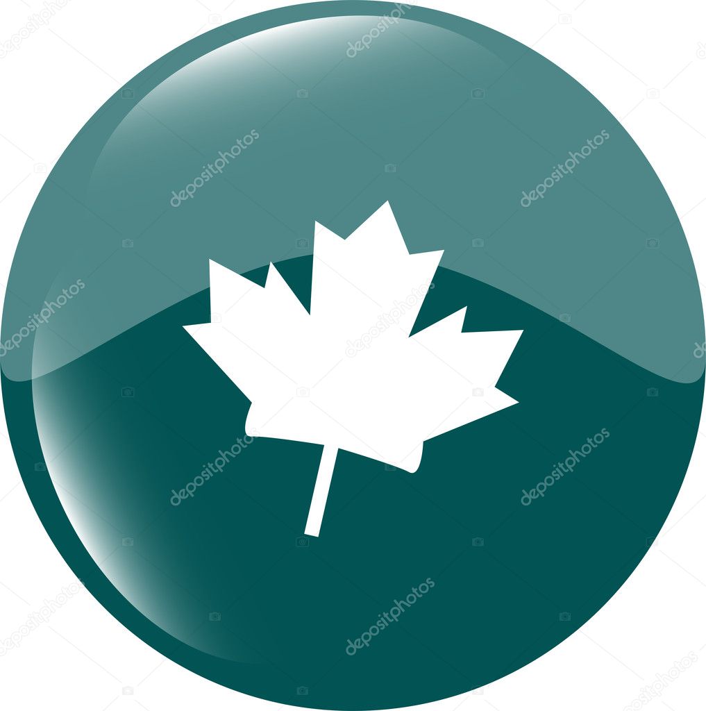 Mapple leaf icon glassy green button — Stock Photo © fotoscool #23988233