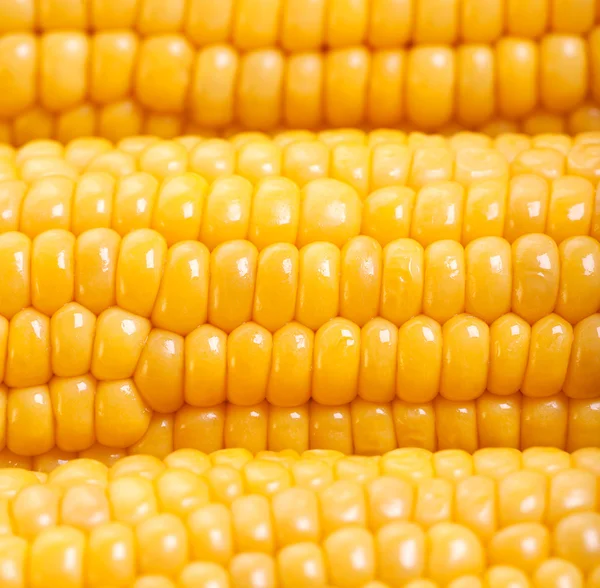 Sweetcorn Stock Photos, Royalty Free Sweetcorn Images | Depositphotos