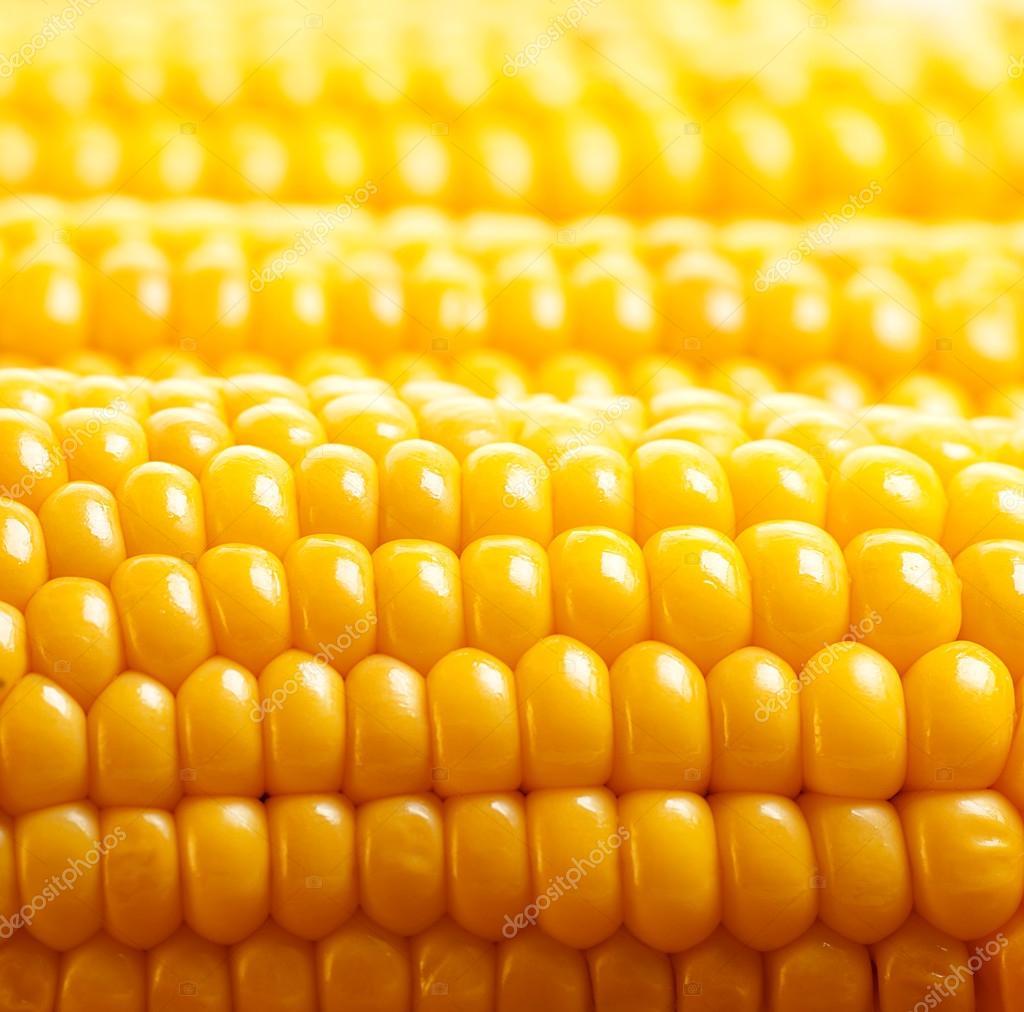 Corn background — Stock Photo © Anna_Om #14058568
