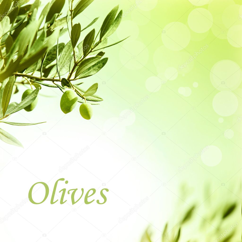 Olive leaves border | Olive leaves border — Stock Photo © Anna_Om #15071437