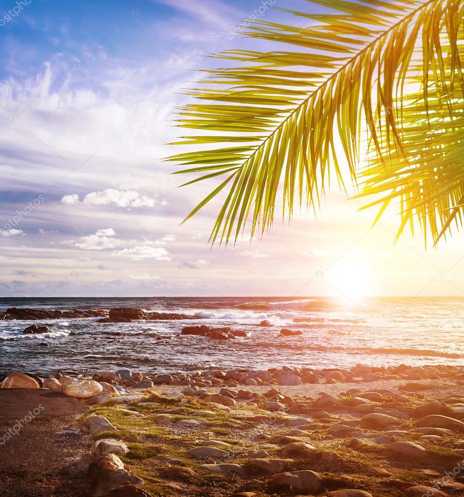 Tropical beach Stock Photo by ©Anna_Om 29945407