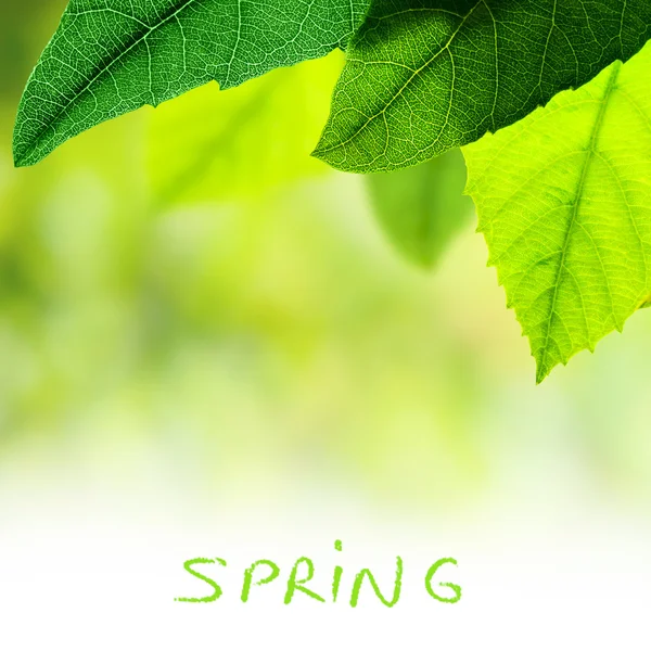 Natural border Stock Photos, Royalty Free Natural border Images ...