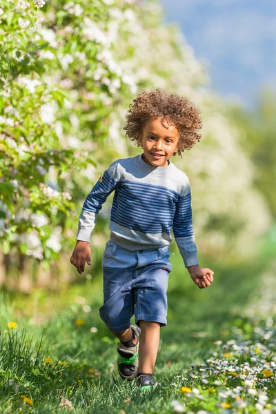 Cute african american little boy playing outdoor - Black people — Stock ...