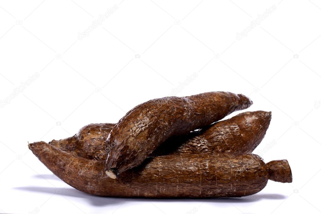 Cassava root Stock Photo by ©membio 25120561