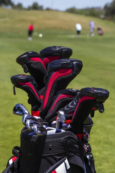 Professional bag full of golf clubs - Stock Image - Everypixel