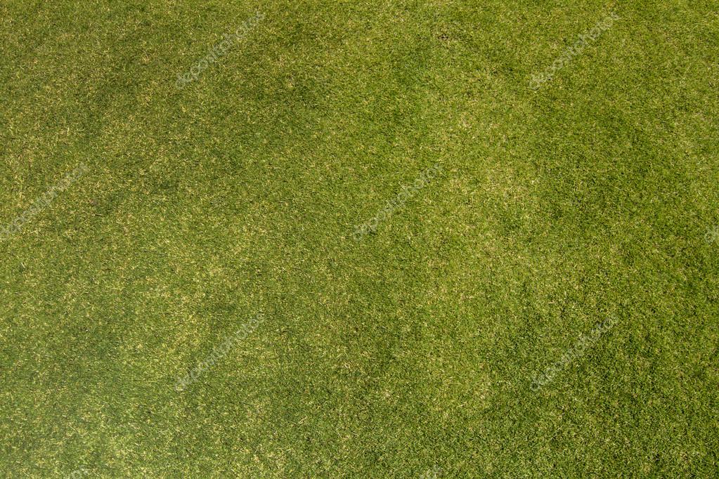 Textura de hierba verde sin costuras: fotografía de stock © membio ...