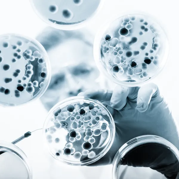 Life science Stock Photos, Royalty Free Life science Images | Depositphotos