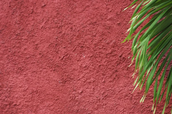 54 Maroon walls Stock Photos | Free & Royalty-free Maroon walls Images ...