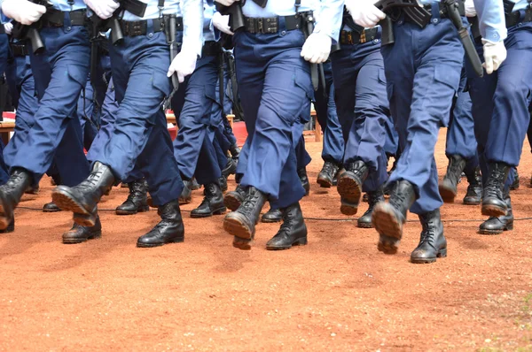 Guards Stock Photos, Royalty Free Guards Images | DepositPhotos